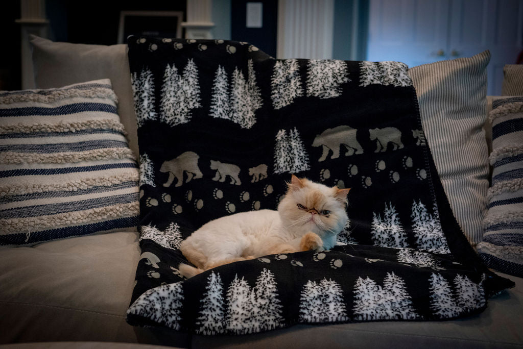 Black Denali Bear Black Throw - Denali Home: Elegant Bear Comfort